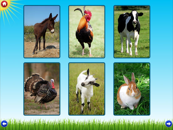 App Shopper: Farm Sounds Lite - Fun Animal Noises for Kids (Games)