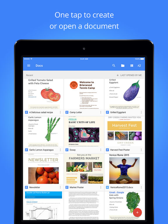 Google Docs Screenshot