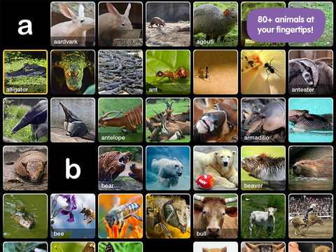 ABC Wildlife on the App Store