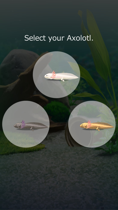 App Shopper: Virtual Therapeutic Axolotl Pet (Games)