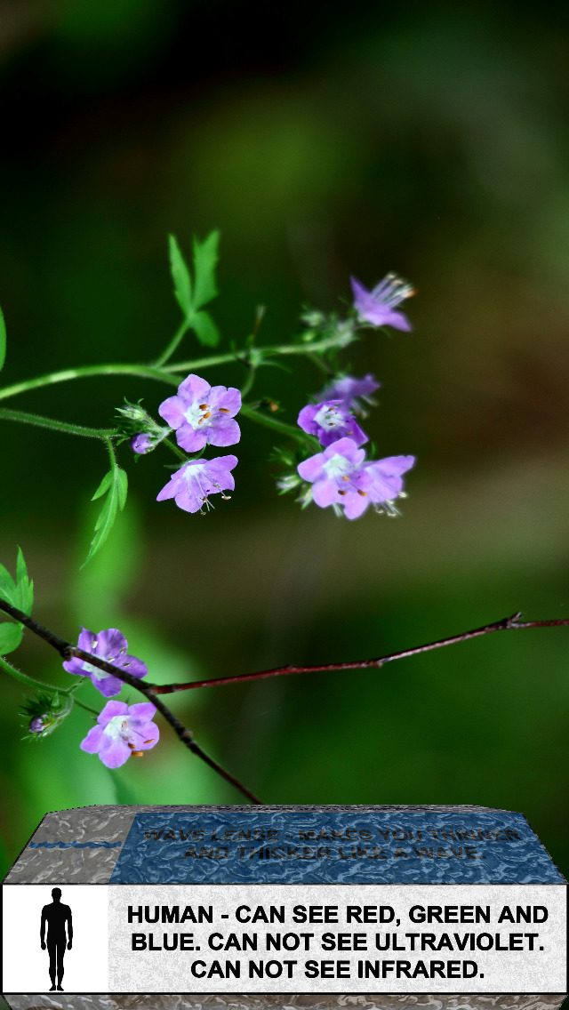 Baby & Animal Vision | Apps | 148Apps