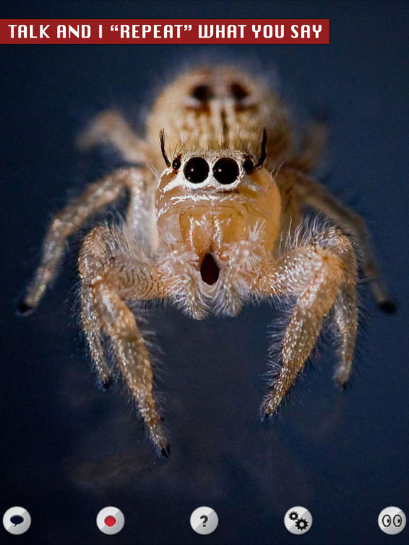 Talking Spider on the App Store